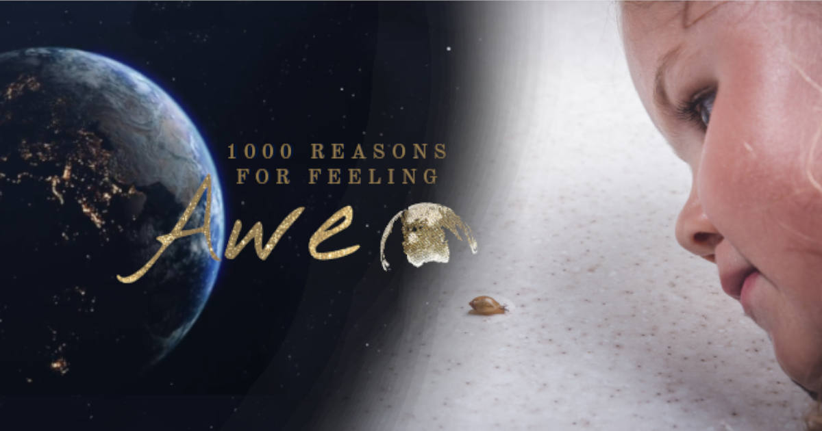 1.000 Reasons for Feeling Awe